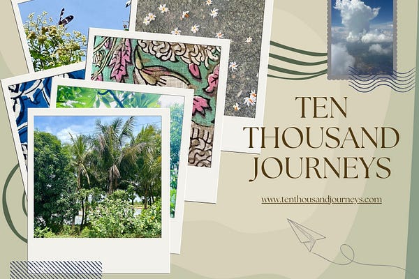 Ten Thousand Journeys | Priya Iyer | Substack