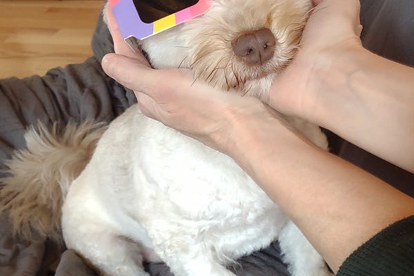 Julia Kent's Writing Cabin | Substack