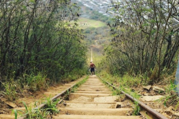 The Hopeful Rhino: For Christian Creatives Everywhere! | Cass & Rich Langton | Substack