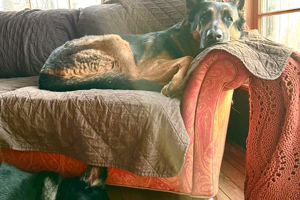 J.F. Riordan; Reflections on a Life in Exile | J. F. Riordan | Substack