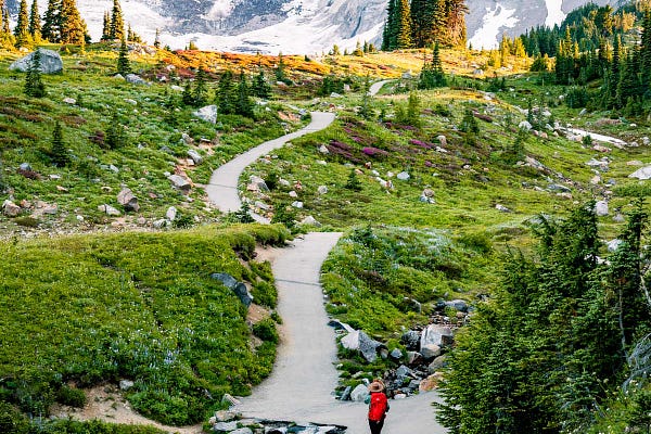 More Than Just Parks | Substack