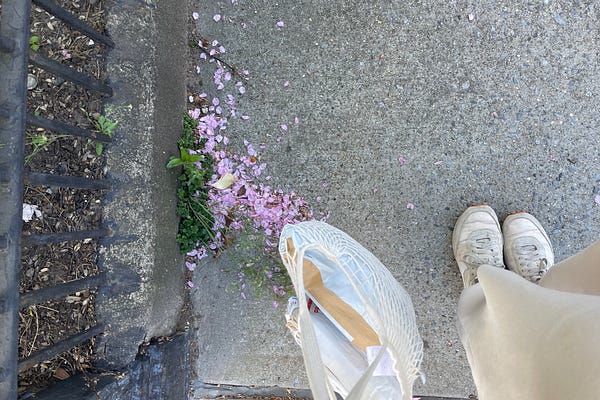 Tea Notes | Erin Boyle | Substack