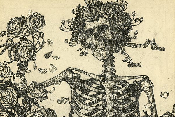 Meditations in an Emergency | Rosecrans Baldwin | Substack