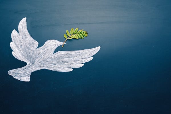 Caitlin’s Newsletter | Caitlin Johnstone | Substack