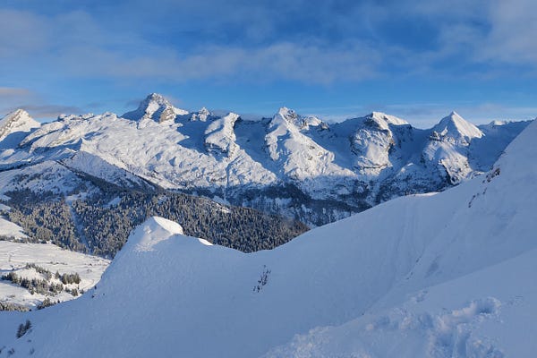 Misadventures in Shipping | Edward Finley—Richardson | Substack