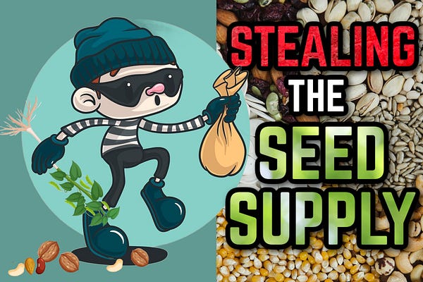 Agent131711’s Substack | Substack