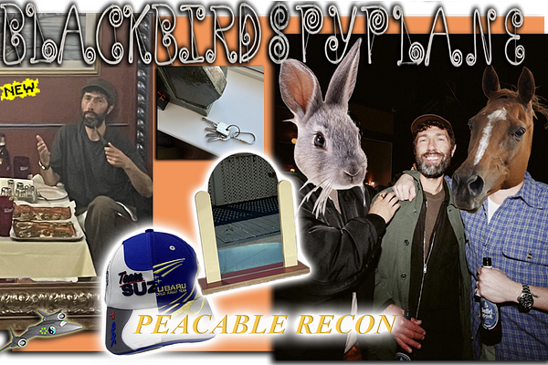 Blackbird Spyplane | Substack