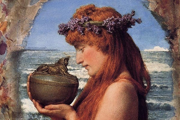 Fair Comment | Will Snell | Substack