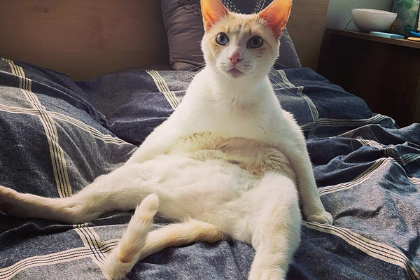 The Martyr Made Podcast | Darryl Cooper | Substack