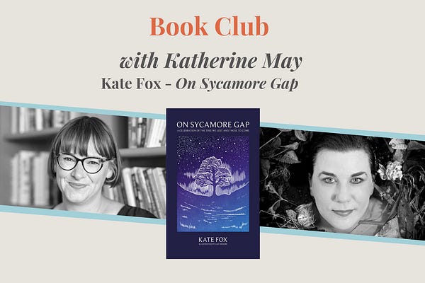 The Clearing by Katherine May | Substack