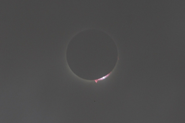 Shades of Greaves | Carlos Greaves | Substack