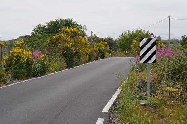 Wild Way: Gardening with Wildlife by Jack Wallington | Substack