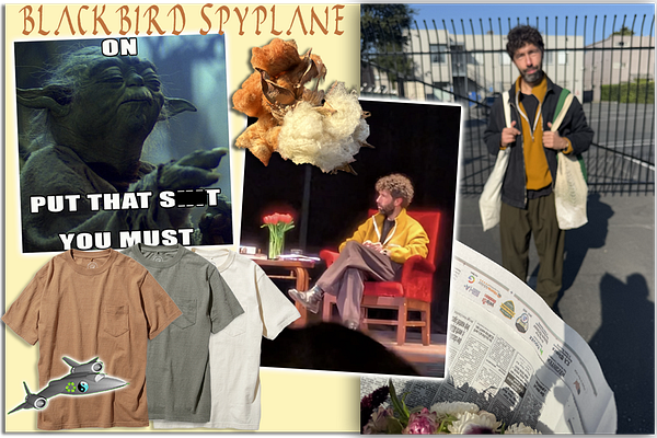 Blackbird Spyplane | Substack