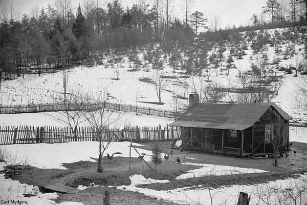 Mr. and Mrs. Psmith’s Bookshelf | Jane Psmith | Substack