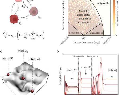 Complexity Thoughts | Manlio De Domenico | Substack