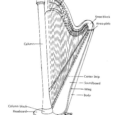 On the Case of Cavities | Suzi Lu | Substack