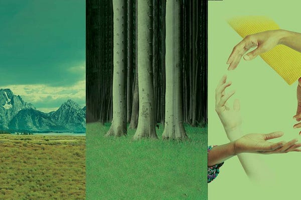 Following the Footprints | Leone Baron | Substack