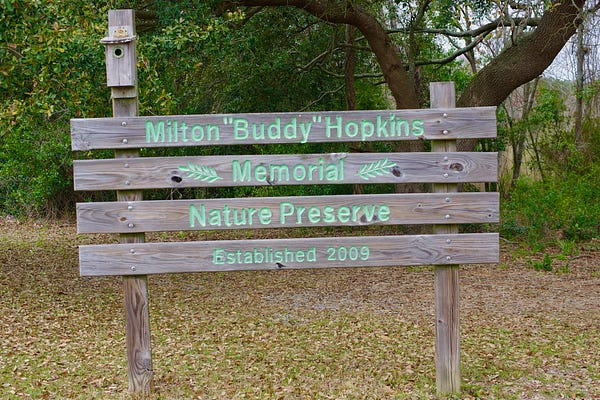 Trackless Wild with Janisse Ray | Substack