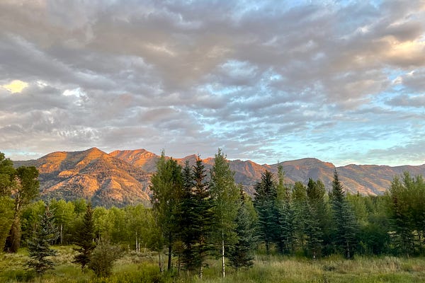 Brain Health Kitchen | Annie Fenn, MD | Substack