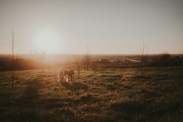 Coming Home | Substack