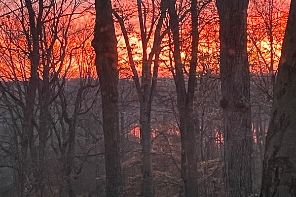 J.F. Riordan; Reflections on a Life in Exile | J. F. Riordan | Substack