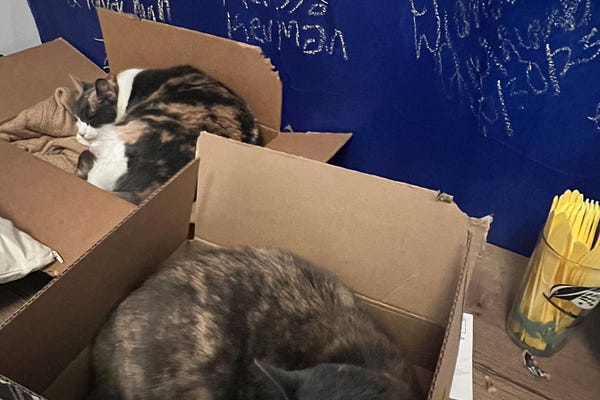 Ann’s Substack | Ann Hood | Substack