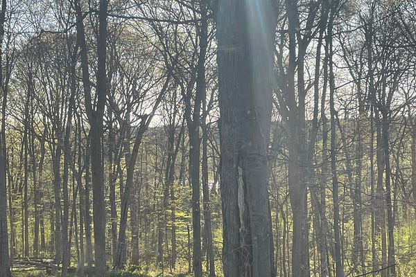 J.F. Riordan; Reflections on a Life in Exile | J. F. Riordan | Substack