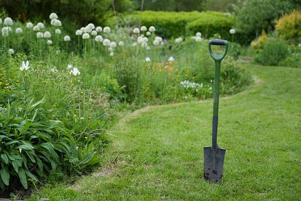 Wild Way: Gardening with Wildlife by Jack Wallington | Substack