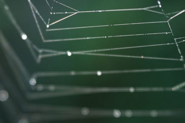 Beyond the Studio with Jocelyn Elizabeth | Substack