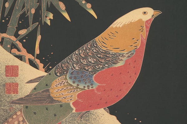 Expressive Egg | Darren Allen | Substack