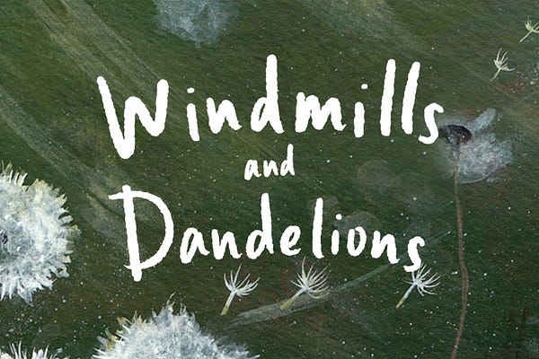 Dandelion Seeds: Illustrated Essays | Candace Rose Rardon | Substack