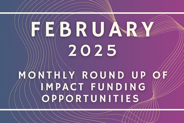 Impact Funding | Eliana Summer-Galai | Substack