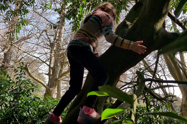 This Playful Home | Sian Thomas | Substack