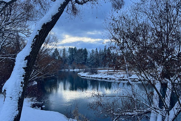 On the Commons | Antonia Malchik | Substack