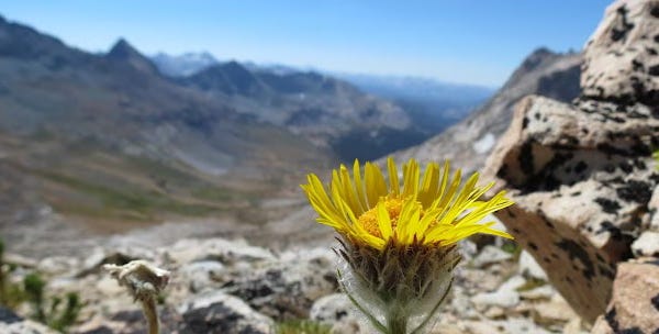 Beyond Self Improvement | Ryan Delaney | Substack