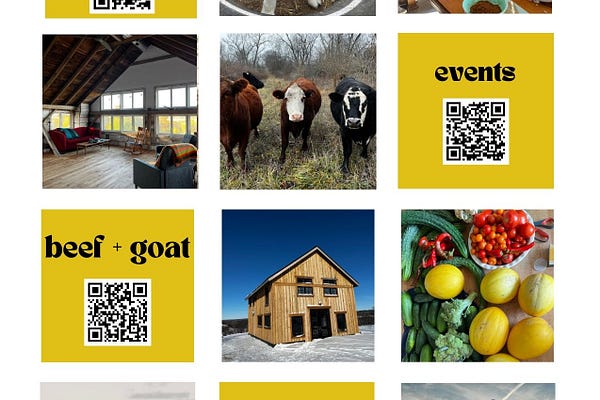 In the Dirt | Beth Hoffman | Substack