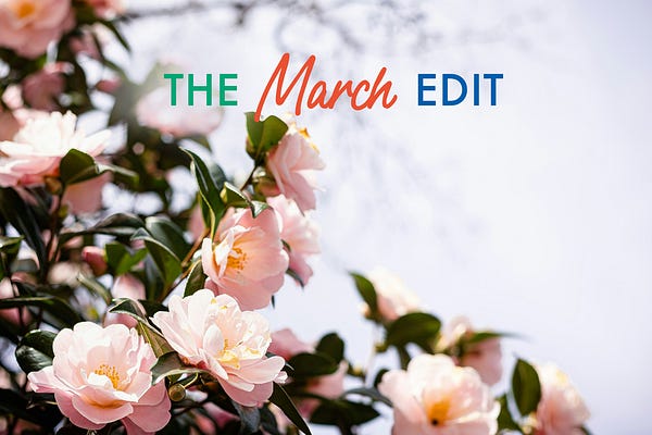 Big Salad | Joanna Goddard | Substack