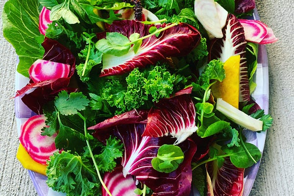 The Department of Salad: Official Bulletin | emily nunn | Substack