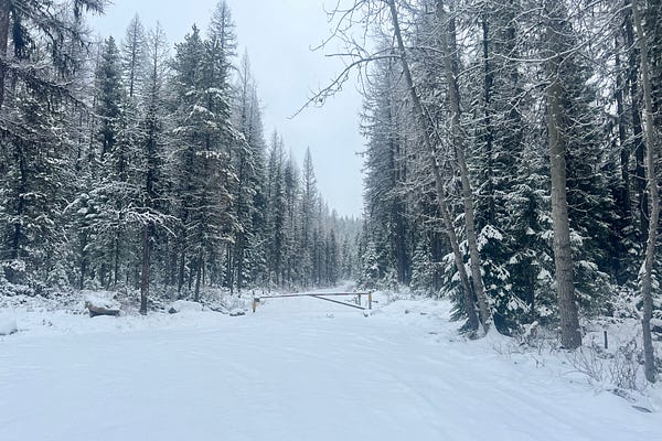 On the Commons | Antonia Malchik | Substack