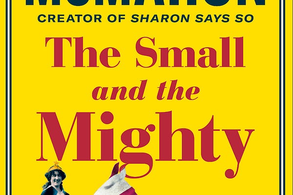 The Preamble | Sharon McMahon | Substack