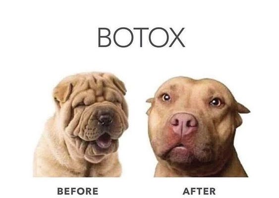 Recently Enjoyed Things | Jennifer | Substack