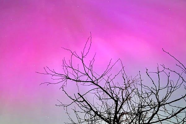 Curious About Everything | Jodi Ettenberg | Substack