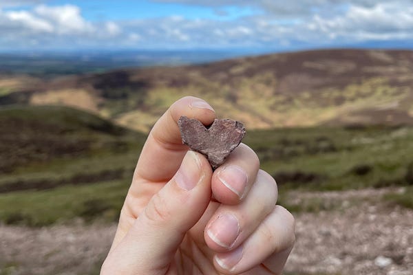 The Lighthouse with Cait Flanders | Substack