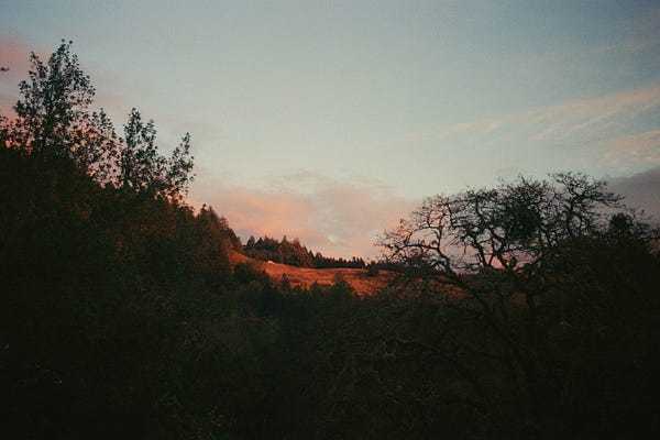 Off Leash | Taylor Randal | Substack