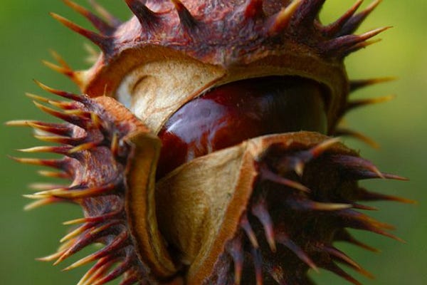 Where are the numbers? by Norman Fenton and Martin Neil | Substack