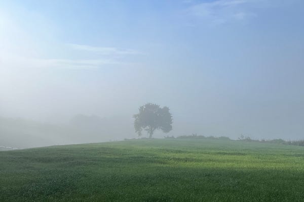 LīLā Magazine | EXA Without Borders | Substack