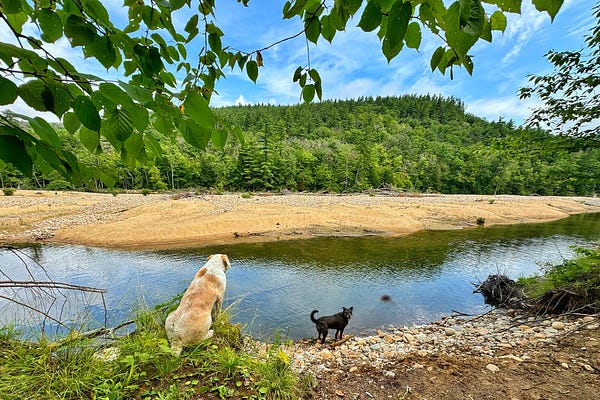 Tom Ryan, Author | Substack