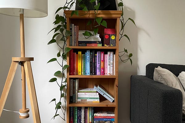 The Mindful Consumer | Cait Flanders | Substack