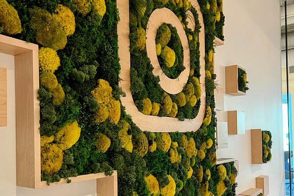 The Developing Dev | Ryan Peterman | Substack