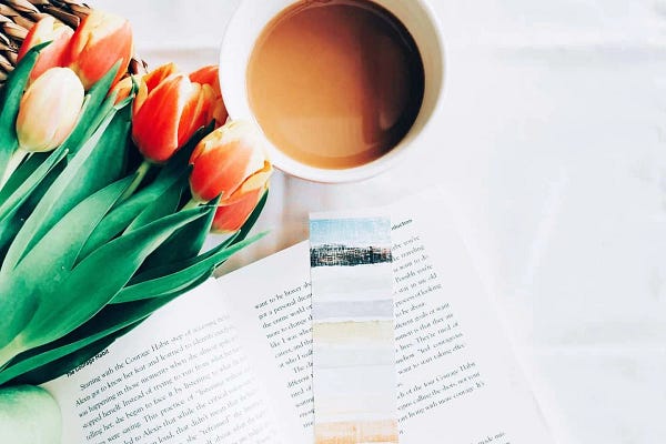 Cultivate with me | Caroline | Substack